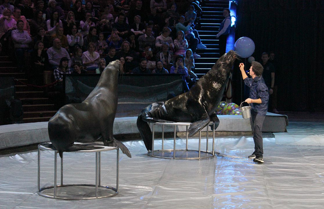 Exploring Art, Tradition, and Ethical Dilemmas of Moscow Circus - The ...