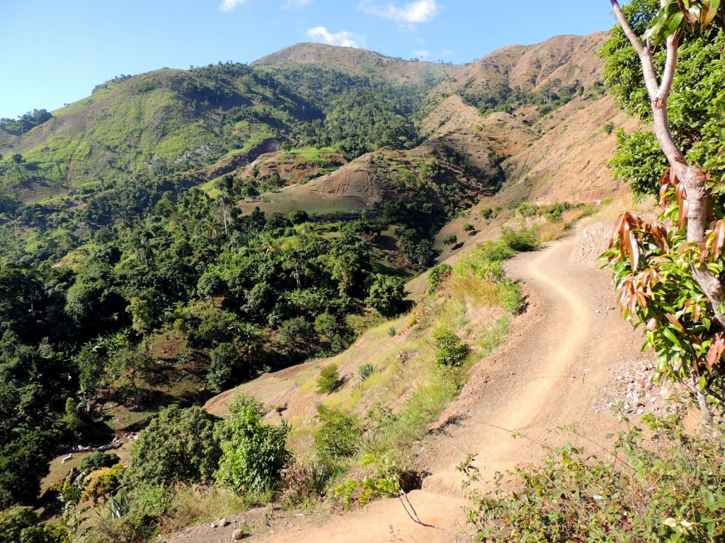 Chased up the mountain