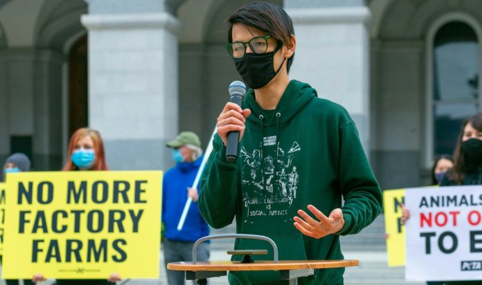 PETA’s use of provocative and often controversial tactics has sparked ...