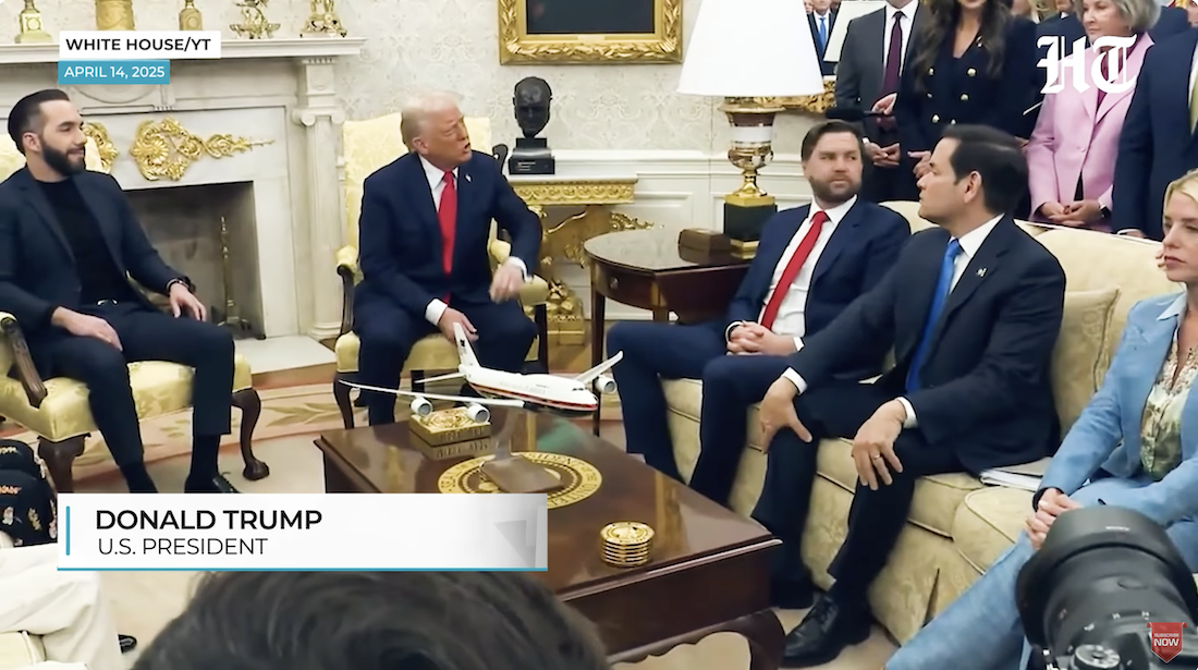 Trump Berates Female CNN Star in Oval Office Temper Tantrum - The ...