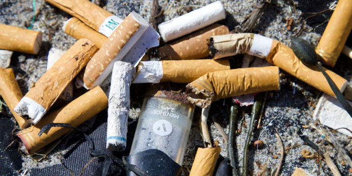 Community Action to Combat Litter