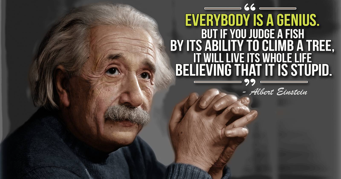 Actually, never said by Albert Einstein. But interesting anyway.
